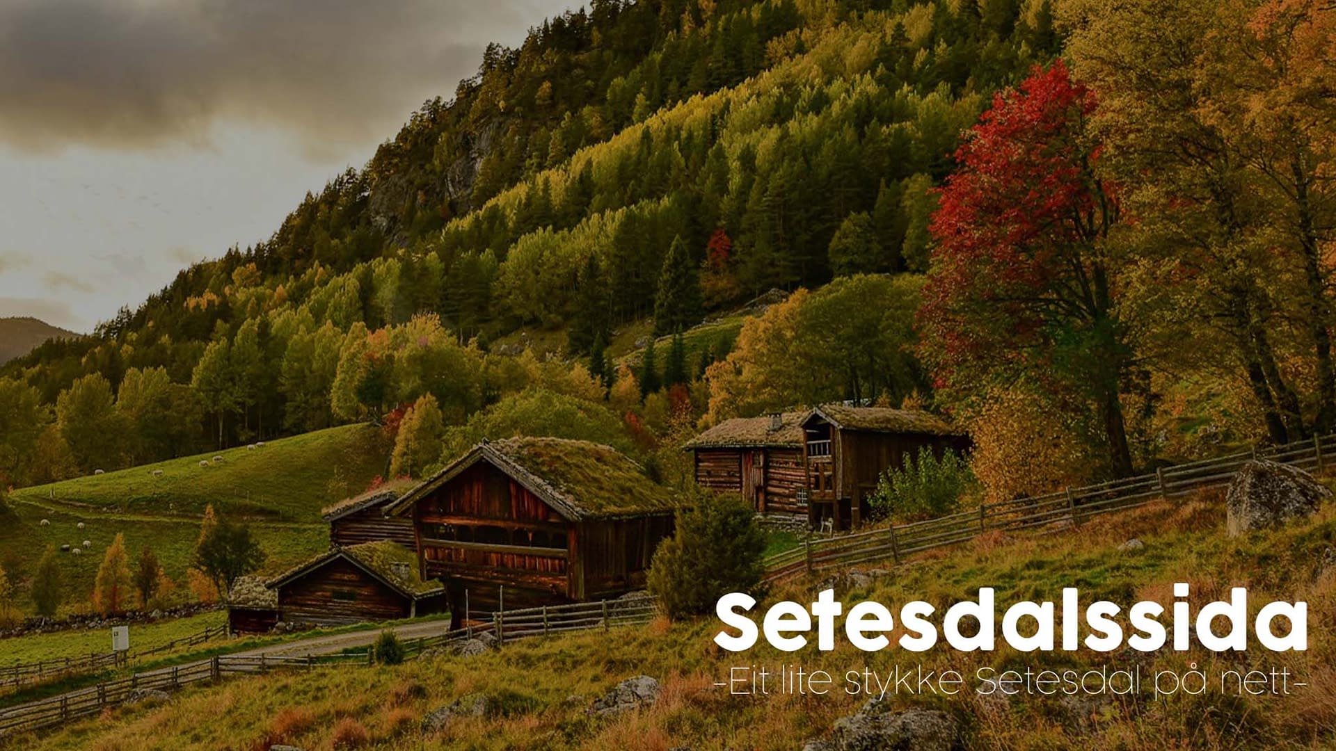 Setesdalssida - Setesdalssida